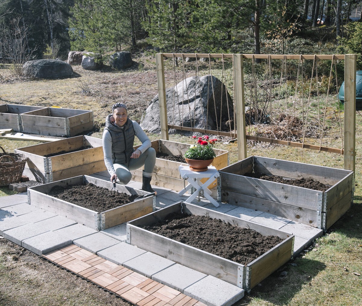 Kasvimaa istutuslaatikoissa - näin perustat hyötypuutarhan ...